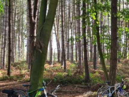Let's Ride - Fundamentals of Mountain Biking Ride –MTB Ride Whitegate ...