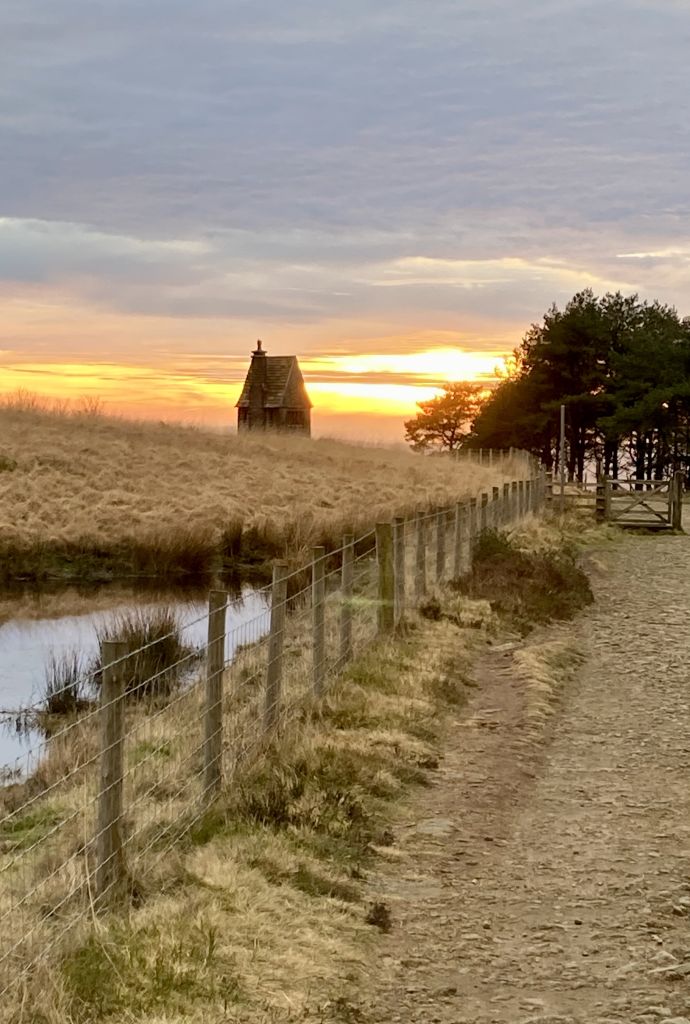 Let's Ride - Healey Nab & Rivington