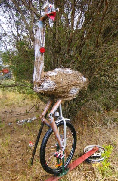 Let's Ride - We're going on an Emu Hunt!